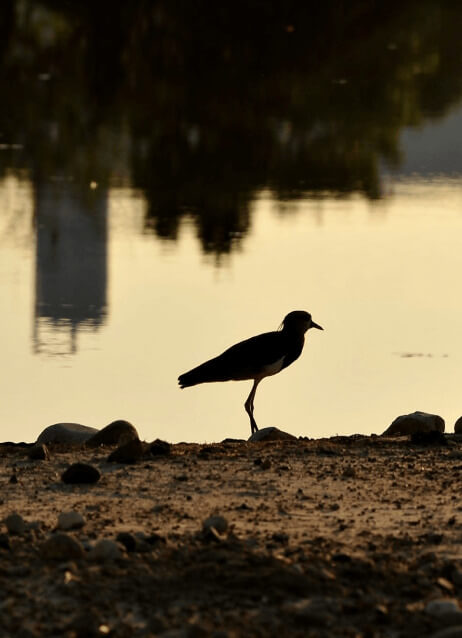 ESG - SierraCol Energy